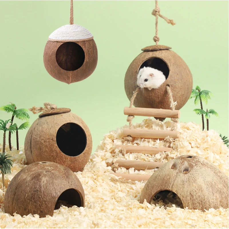 Handmade Coconut Shell Hamster Nest Polishing and Polishing Small ...