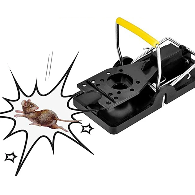 House Mouse Trap