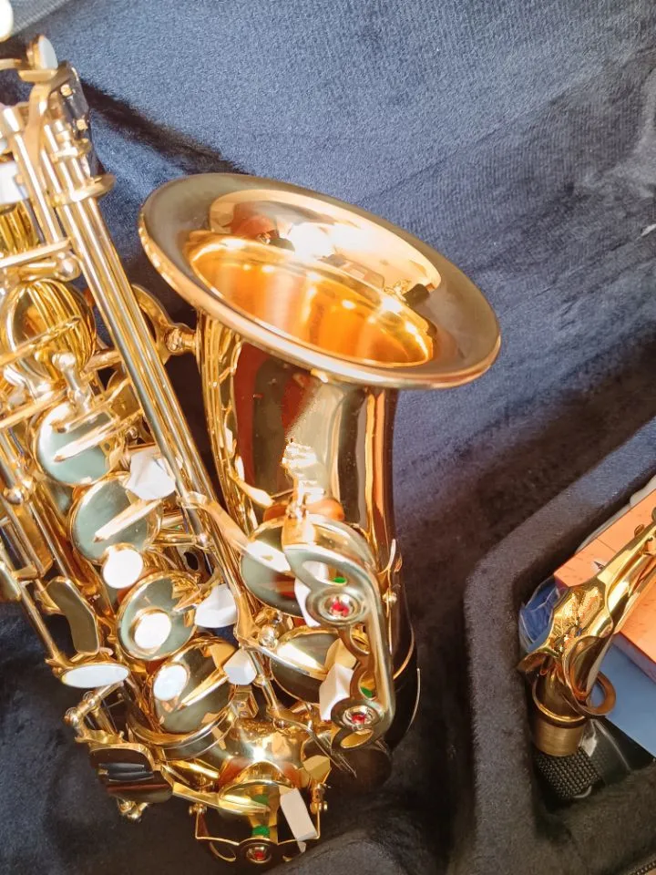 Novo Saxofone SAS 802 Alto Gilding E Flat Music Instrument Grade ...