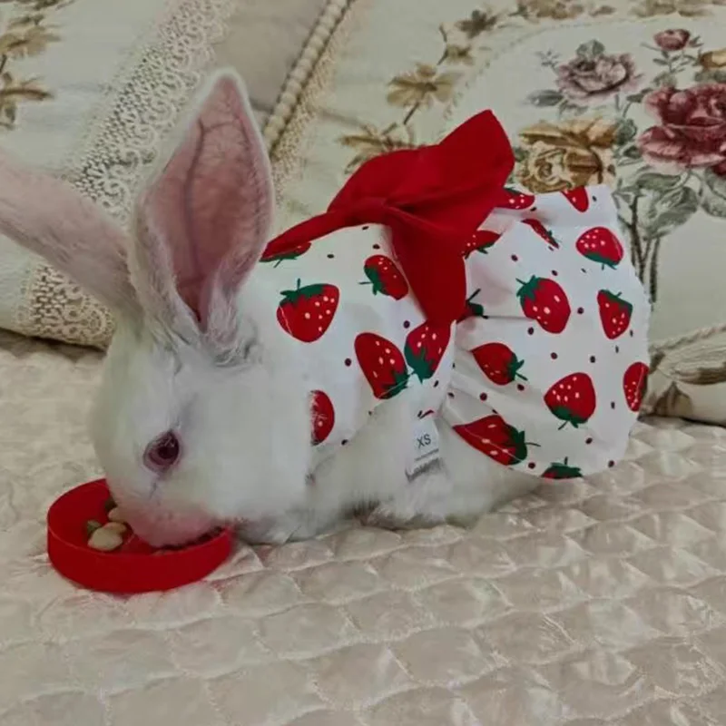 Ropa-de-conejo-con-estampado-lindo-vestidos-para-mascotas-con-lazo-para ...