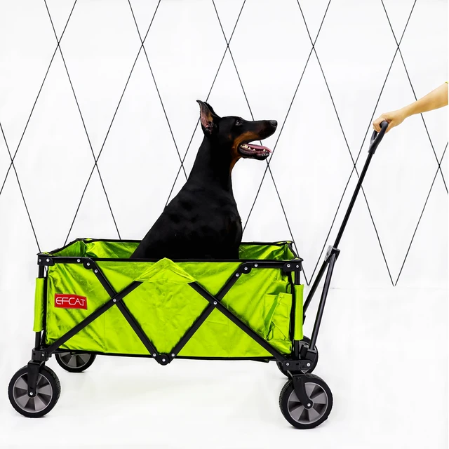 Dog Wagon