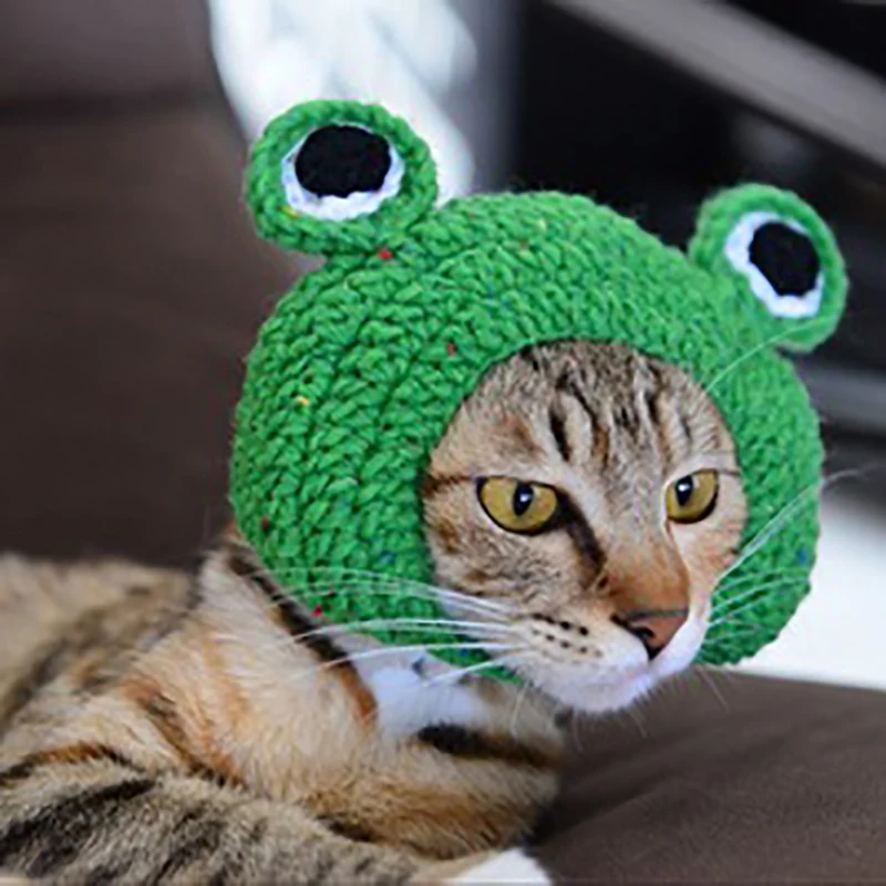 Cats With Frog Hats