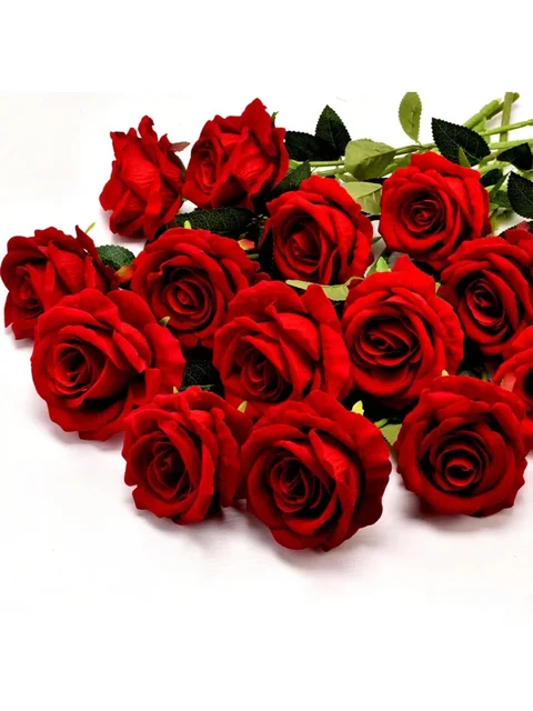 Page d'accueil Catégories Avis