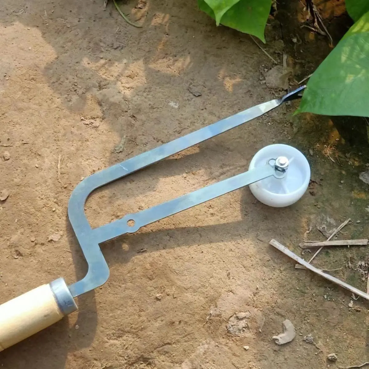 Store Home Products Feedback