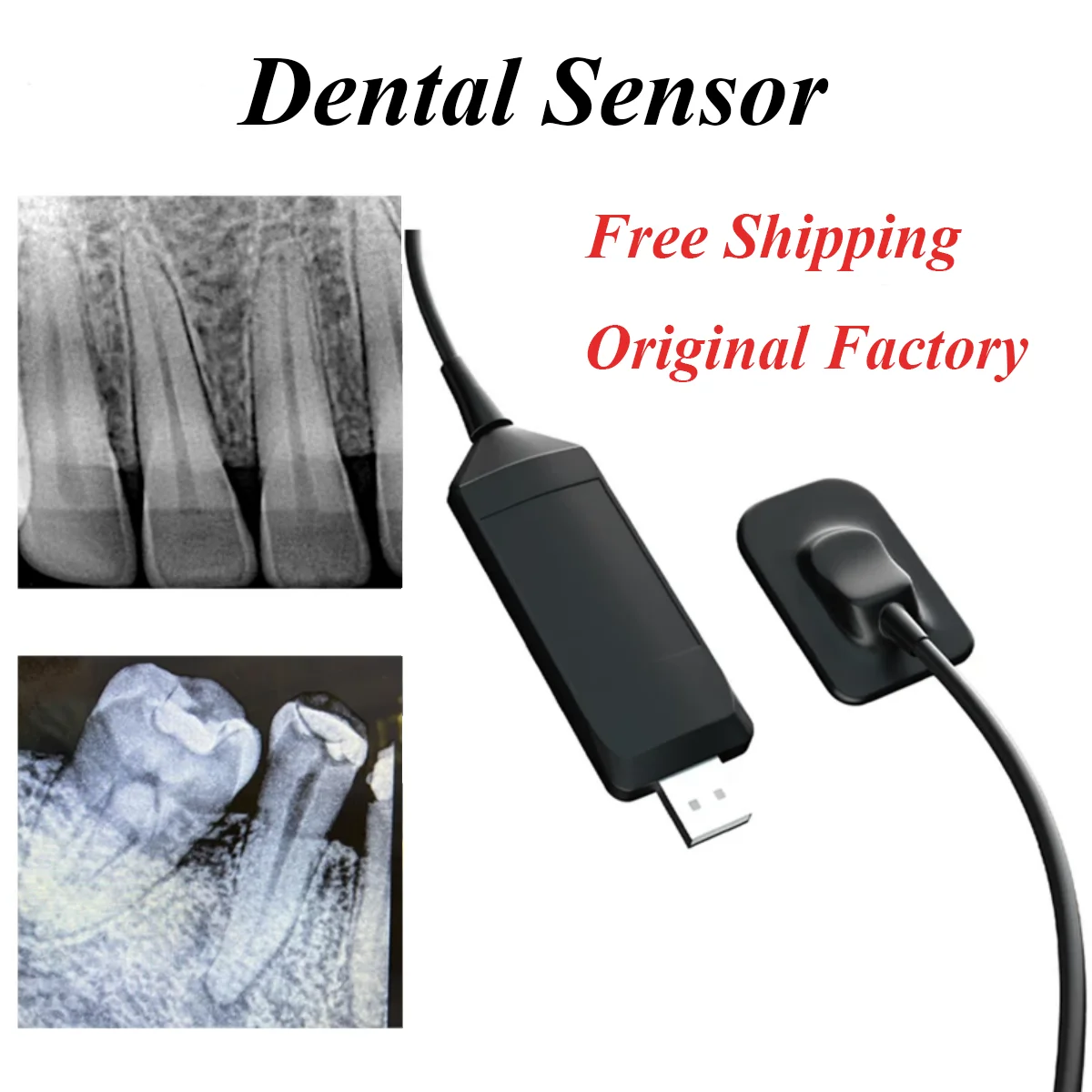 Dental Sensor Original Factory Rayos Dynimage Cmos Rvg Xray Intraoral ...