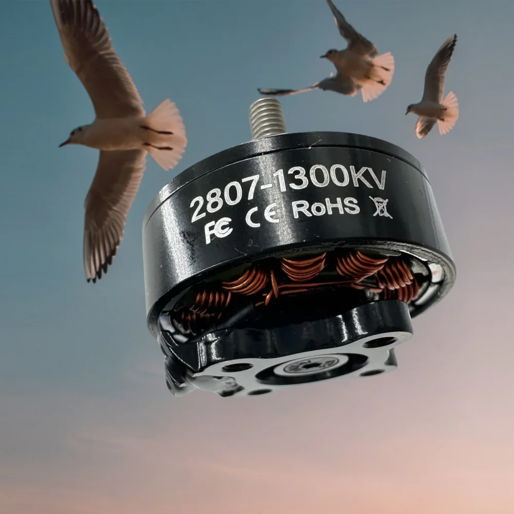 Brushless-Motor-X2807-2807-1300-1500-1700-2-6S-4mm-Bearing-Shaft-Motor ...