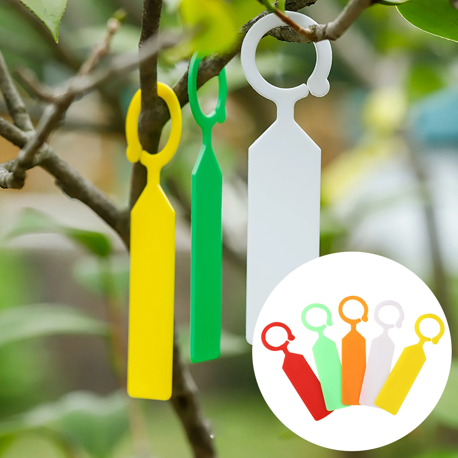 Plants-Hanging-Identification-Tag-Garden-Orchard-Agriculture-Flower ...