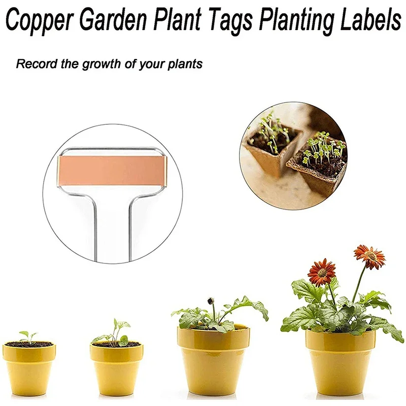 Copper Plant Labels – Everyday Garden