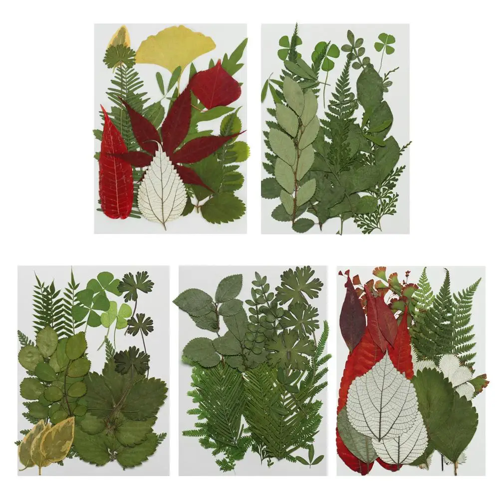 Dry Leaf Art