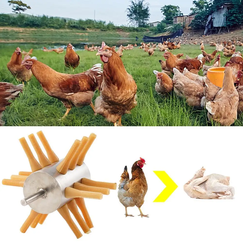 Chicken-Feather-Plucker-Drill-Attachment-Stainless-Steel-Chicken ...