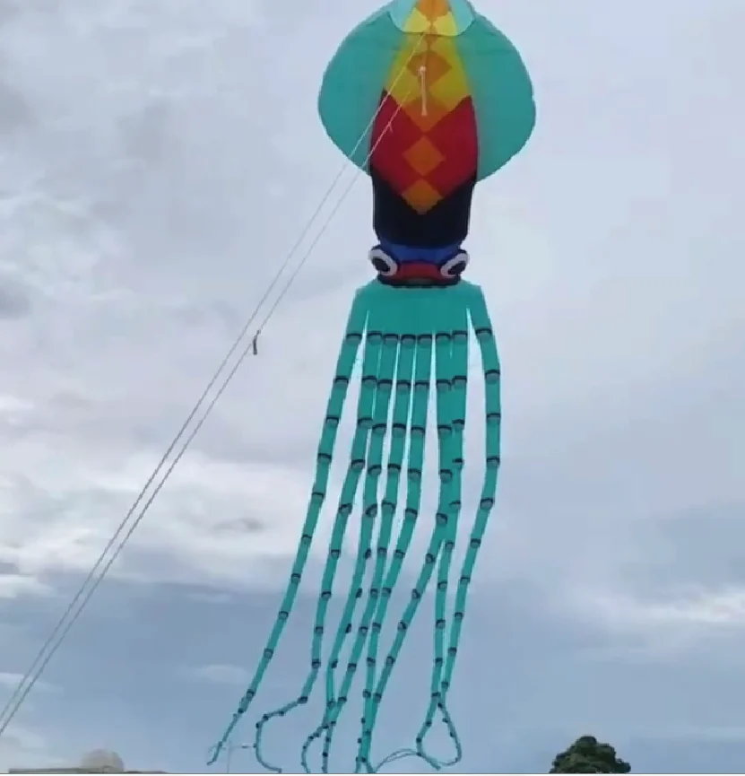 35m new outdoor games Large kite soft kite windsock professional wind ...