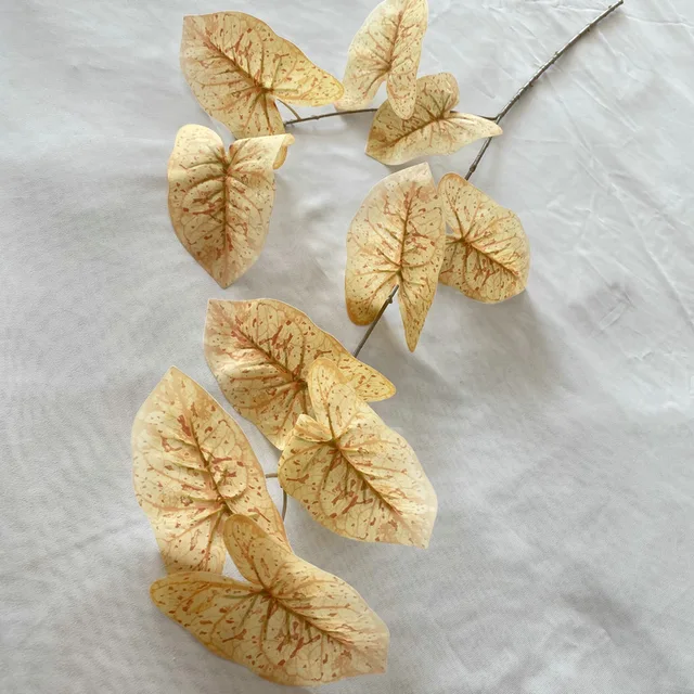 Store Home Products Sale Feedback