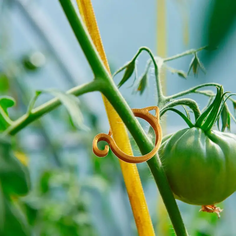 Tomato Clips For Climbing Plants Cat Shaped Trellis Plant Support Clips ...