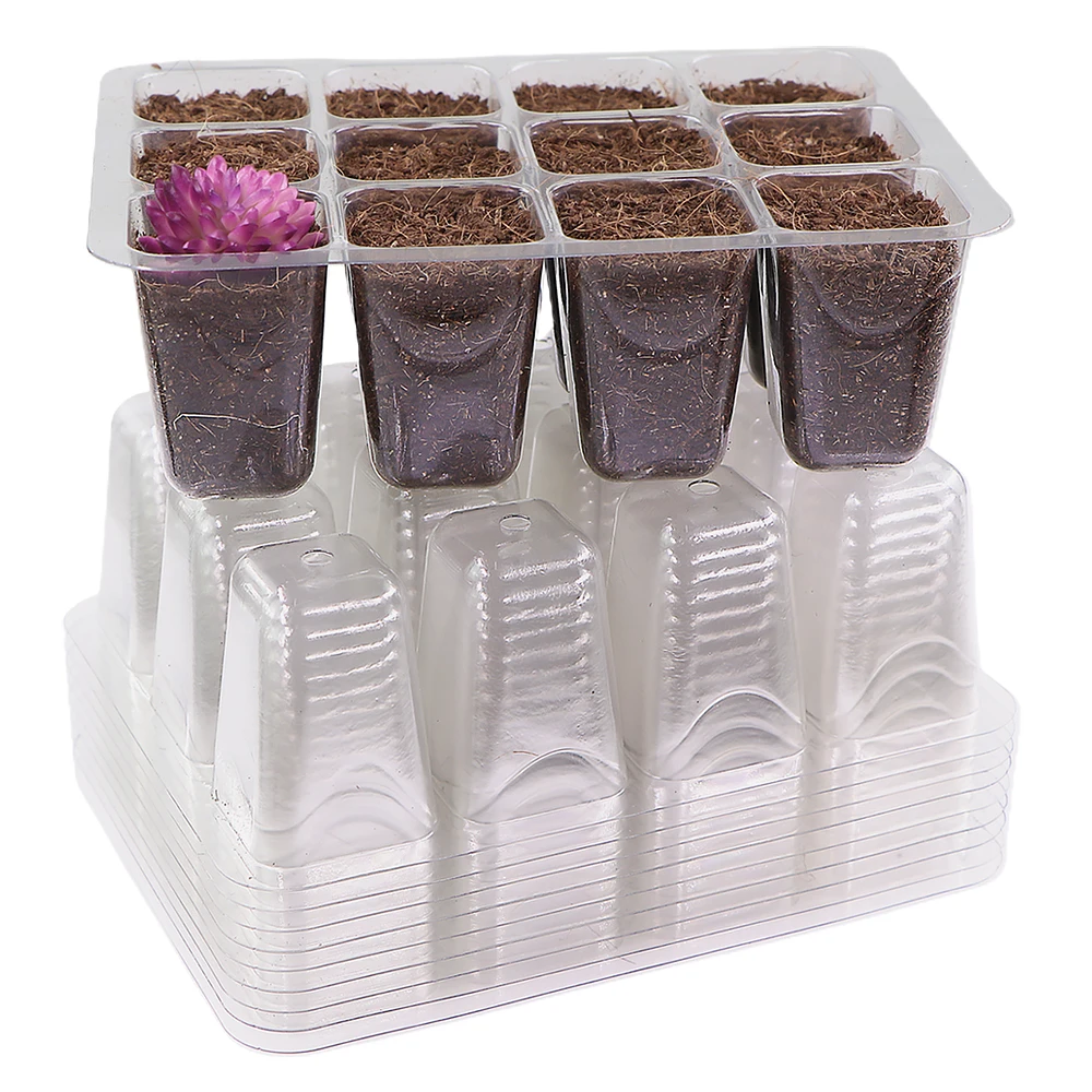 12-cells-Plastic-Nursery-Seedling-Trays-Transparent-Germination-Box-for ...