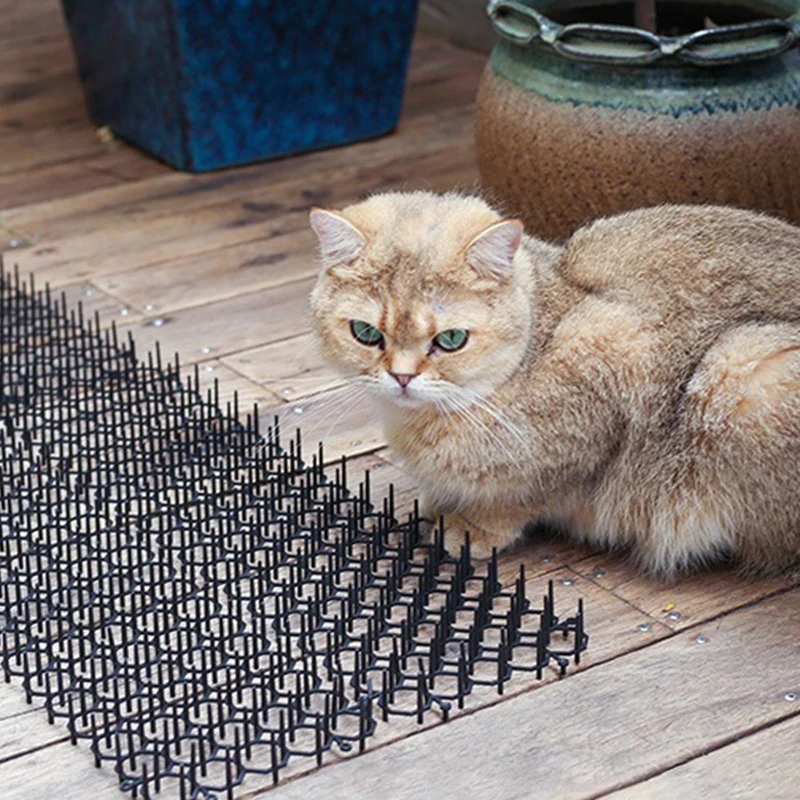 Anti-Cat-Network-Garden-Prickle-Strip-Dig-Stop-Cat-Repellent-Deterrent ...