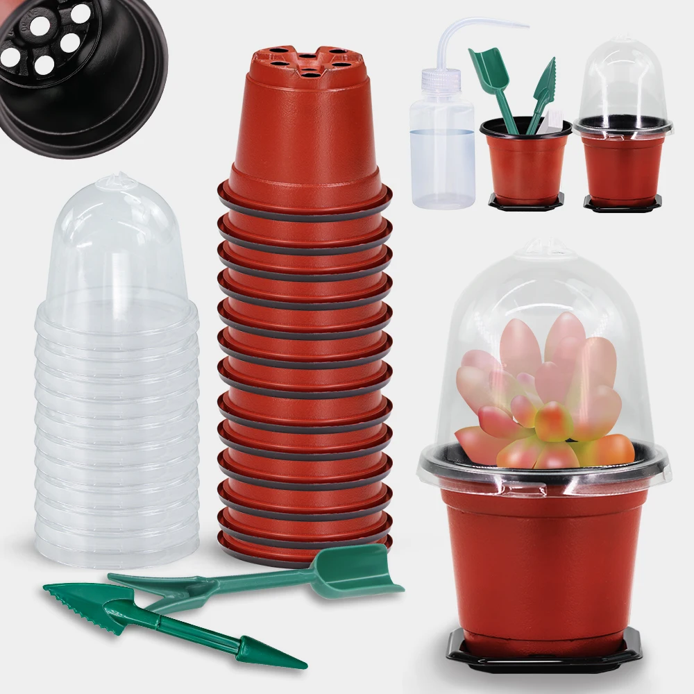 160x90mm Garden Nursery Seedling Cup Kit with Transparent Cover Plant ...