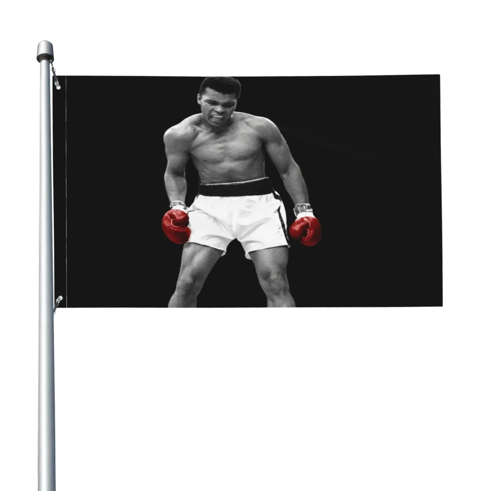 Muhammad Ali Red Gloves