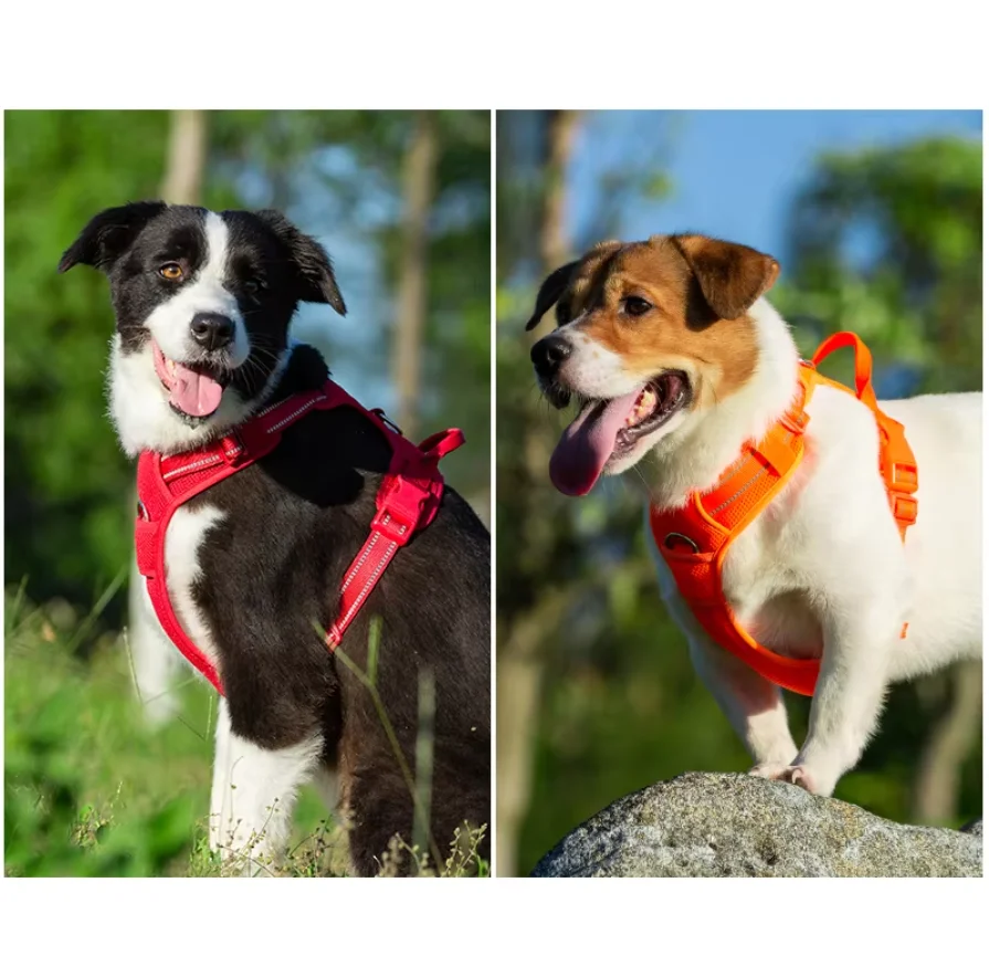 TRUELOVE Pet Harness Nylon Reflective Comfortable and Breathable ...