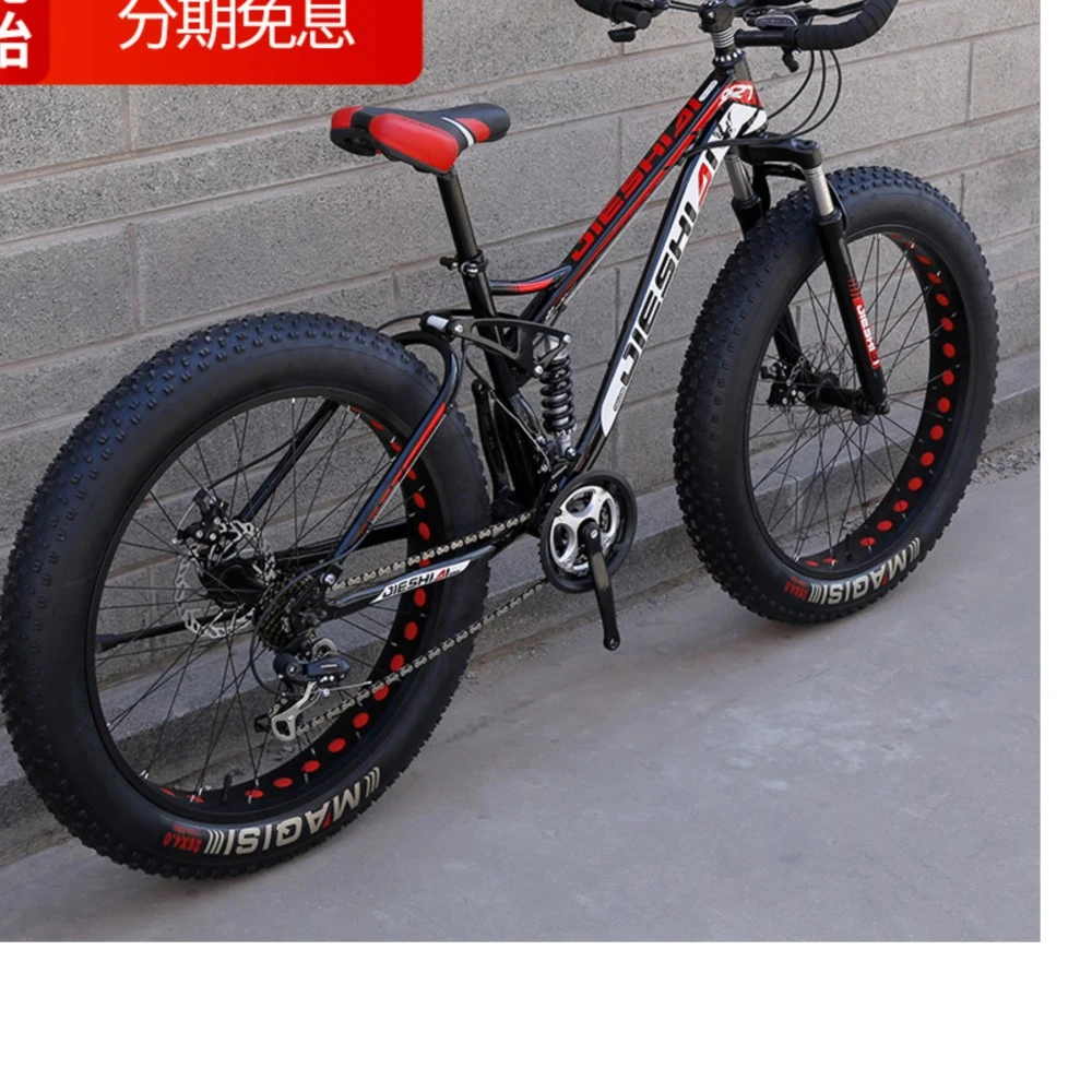 Adult Outdoor Riding Double Shock absorbing Big Thick Wheel Bicycle 4.0 ...