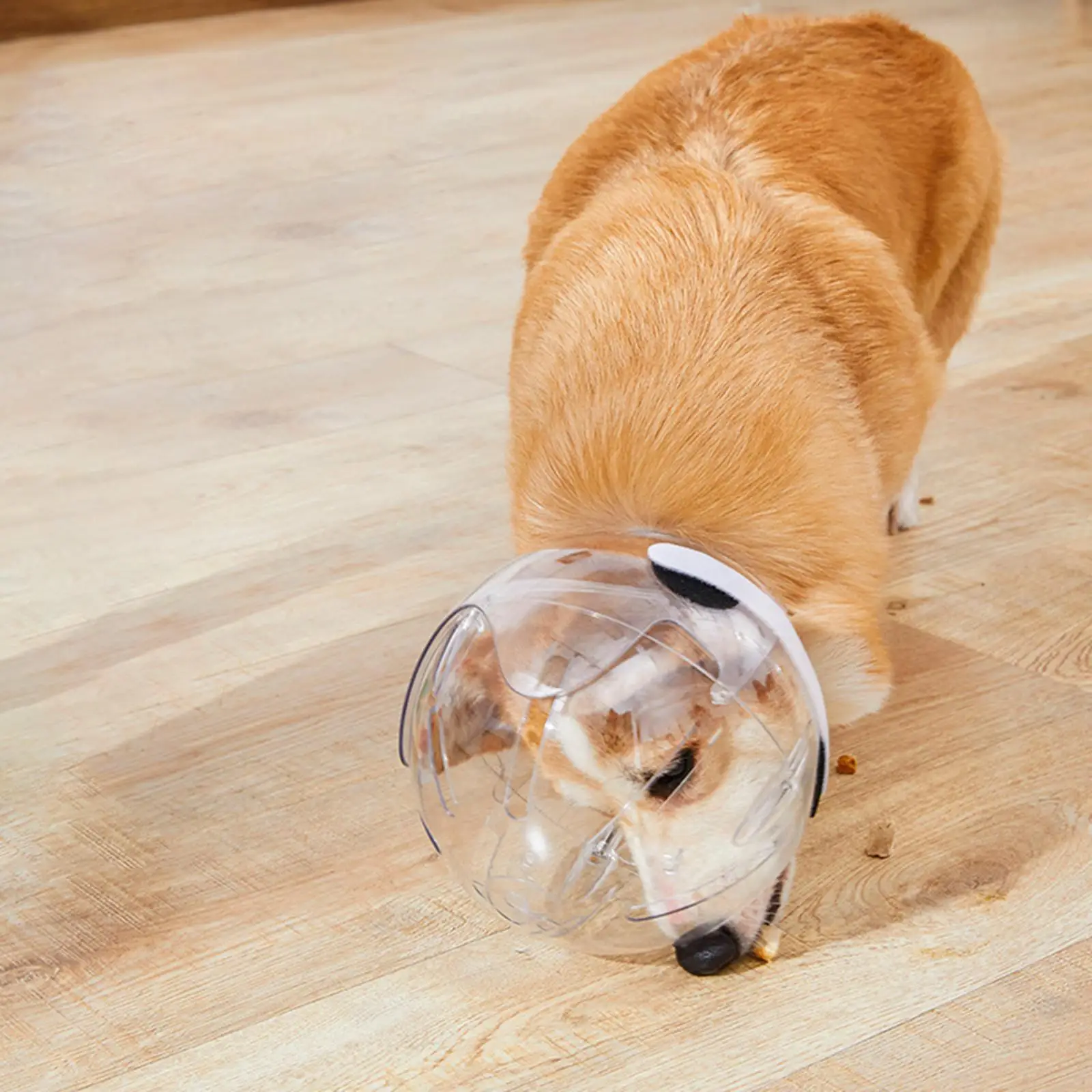 Pet Hood Prevent Biting Breathable Clear Sturdy Anti Bite Dog Muzzle ...