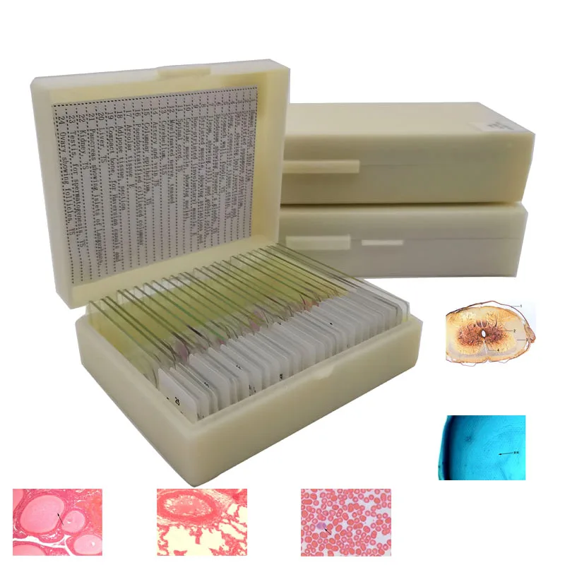 25Pcs-Basic-Histology-Histological-Prepared-Slide-Set.jpg
