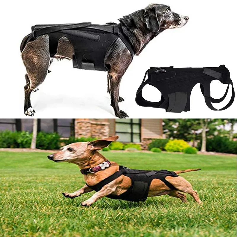 Dog-Disc-Protection-Support-Vest-for-Corgi-Dachshund-Back-Support-Pet ...