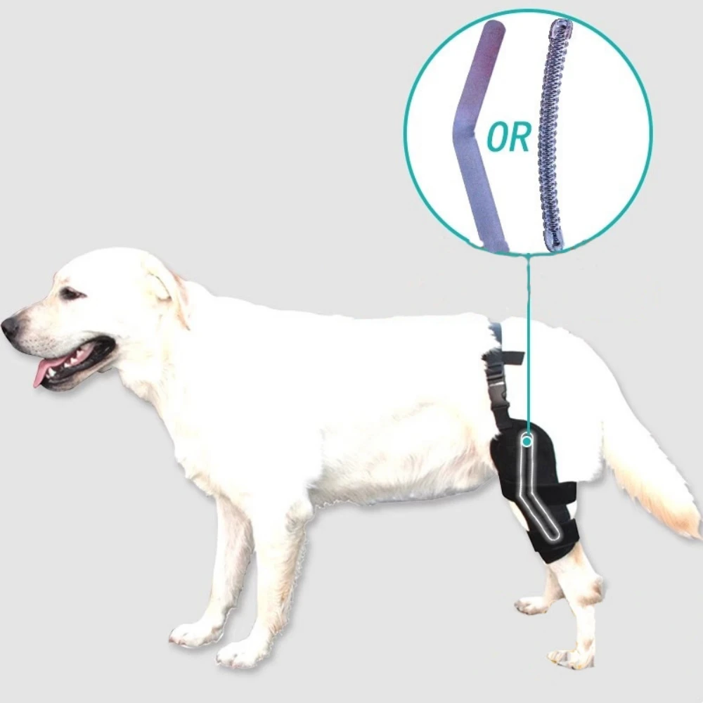 Dog-Knee-Support-Brace-Pet-Cruciate-Ligament-Patellar-Dislocation ...