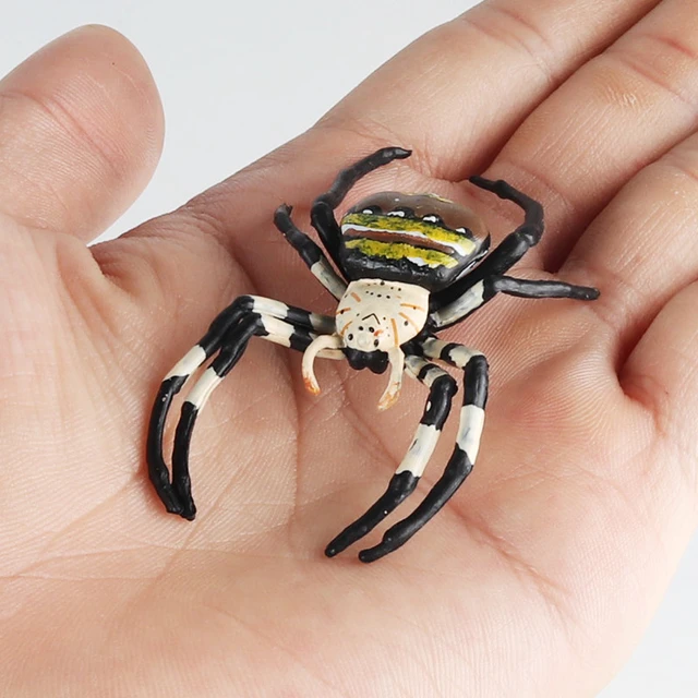 Child Of The Earth Spider