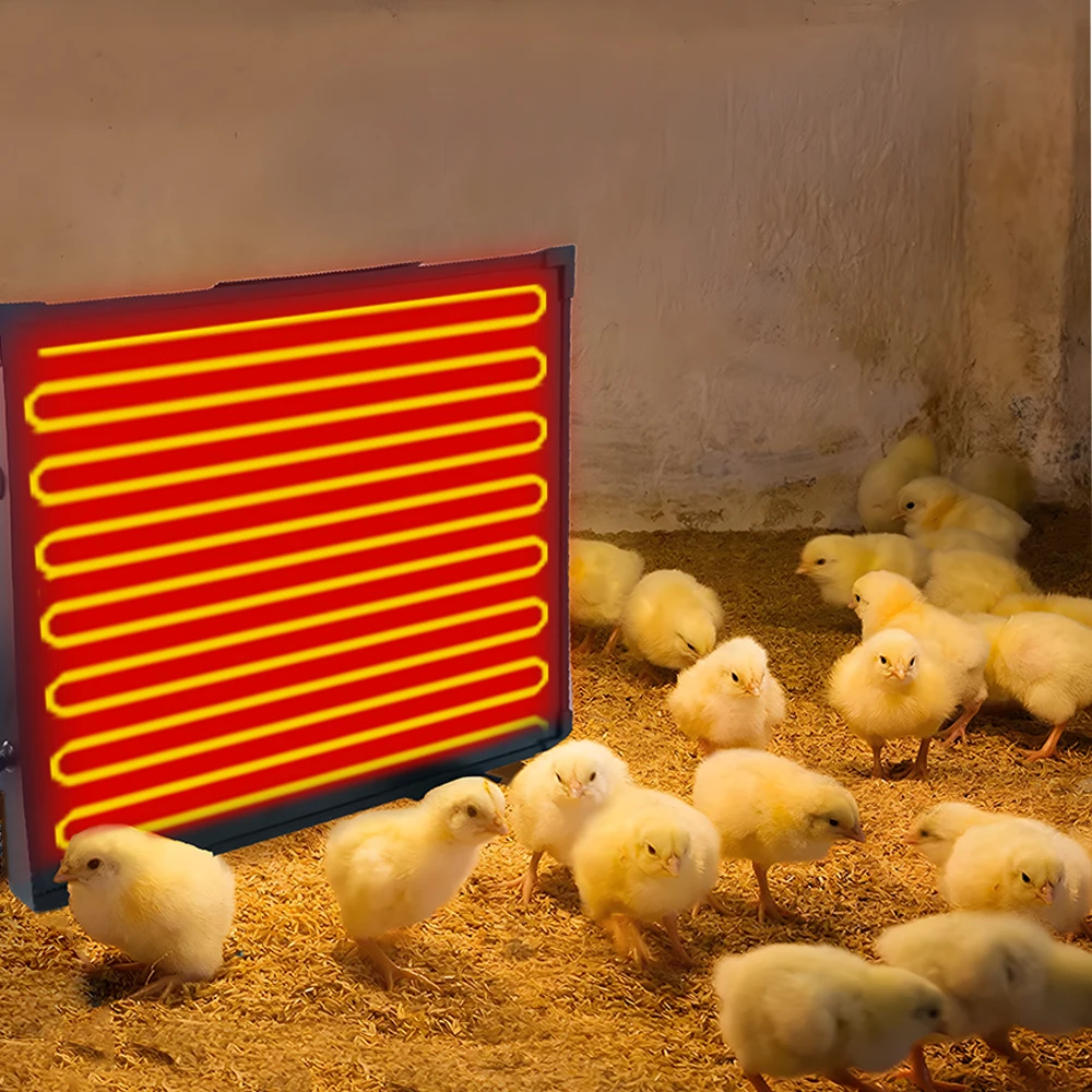 Chicken-Coop-Heater-145-Watts-Radiant-Heat-Energy-Safer-Than-Brooder ...