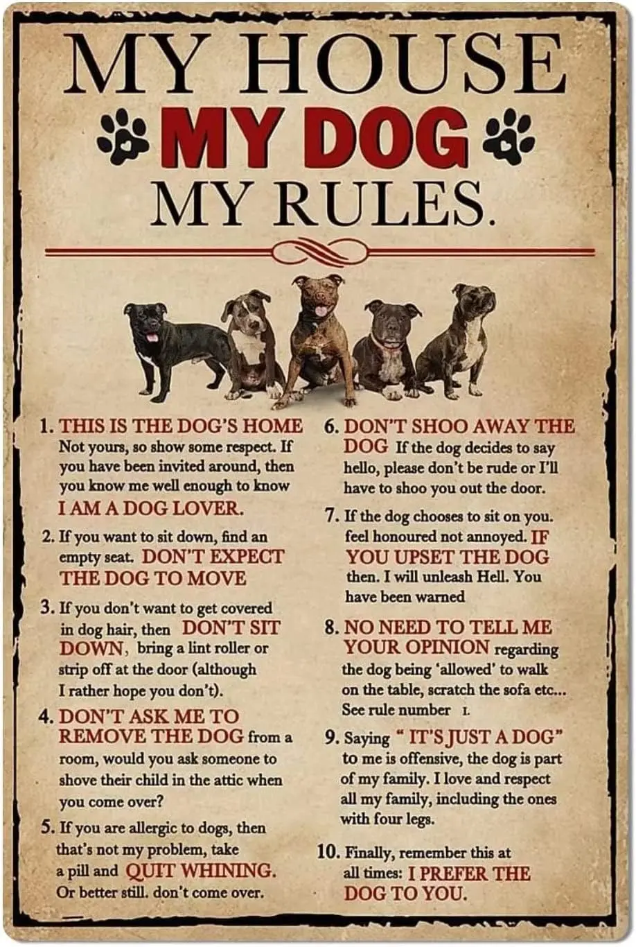 Everything You Need to Know About the Rules of Wolves Book