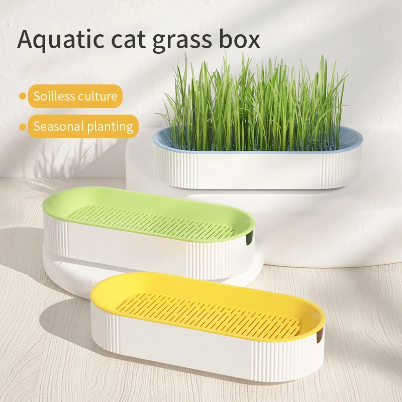 New-Pet-Cat-Sprout-Dish-Growing-Pot-Hydroponic-Plant-Cat-Grass ...