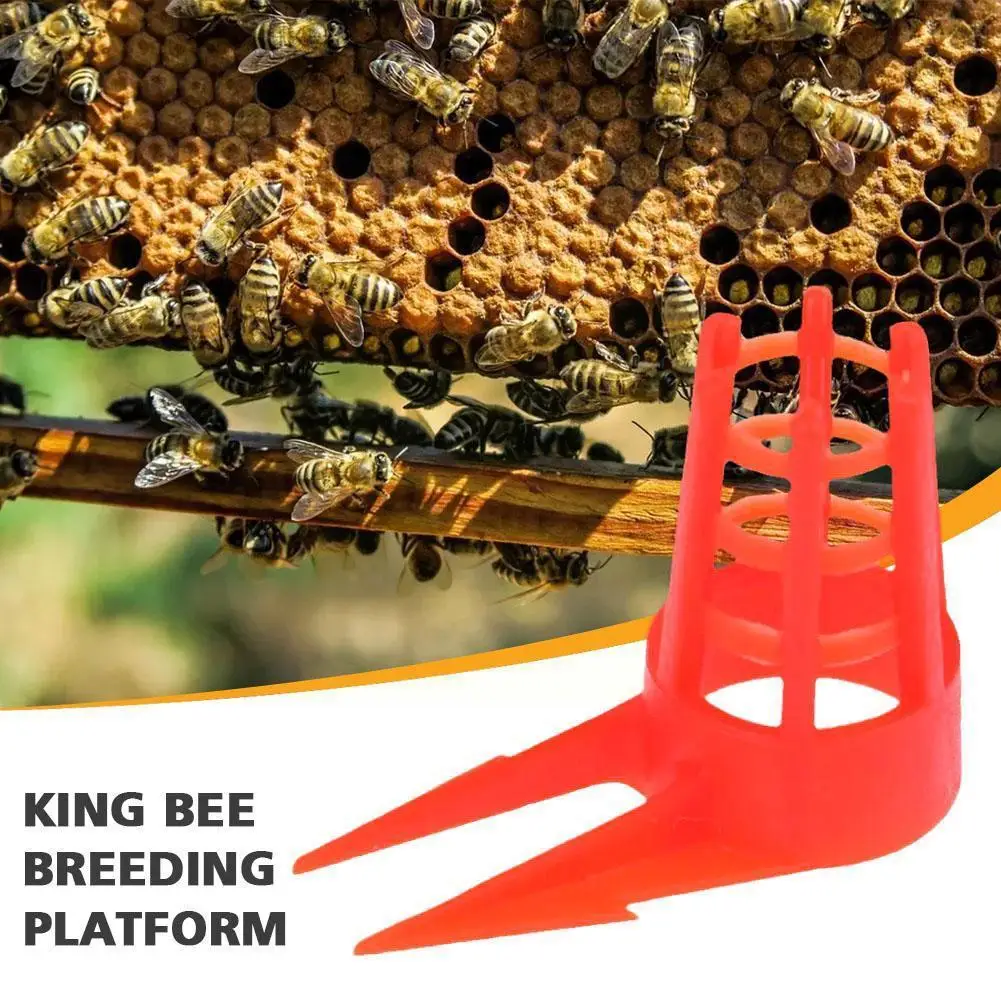 20PCS-Beekeeping-Transport-Cages-Yellow-White-Bees-Apicultur-Catcher ...