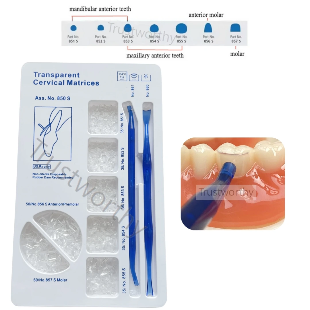 277Pcs-Box-Dental-Transparent-Cervical-Matrices-Composite-Gingival ...