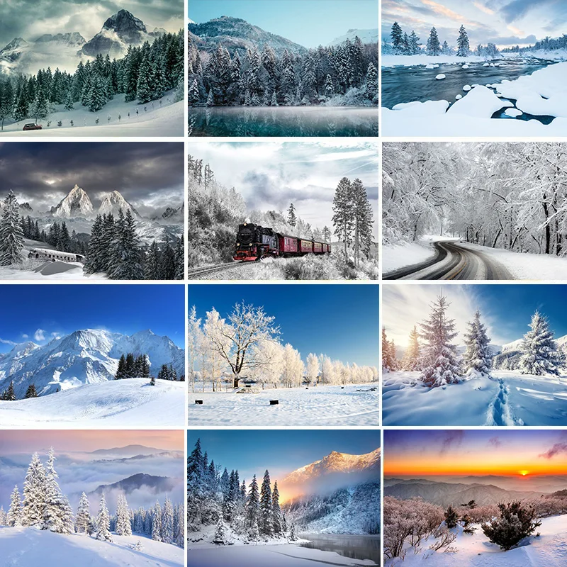 Winter-Snow-Landscape-Pine-Forest-Mountain-Poster-Canvas-Painting ...