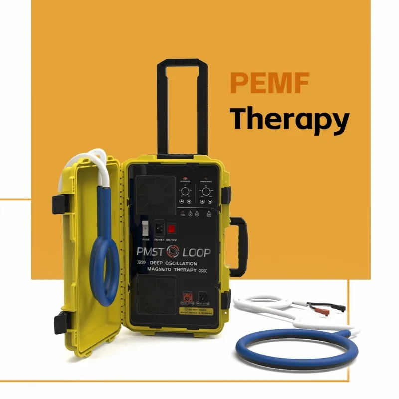 PEMF-Therapy-PMST-Loop-Pulse-Electro-Magnetic-Field-systemic-therapy ...
