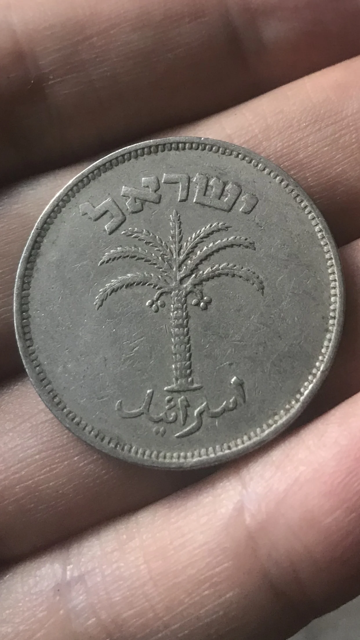 Israeli-Big-Coin-Coconut-Tree-100-Prut-Nickel-Coin-28-5MM-Thick-Coated ...