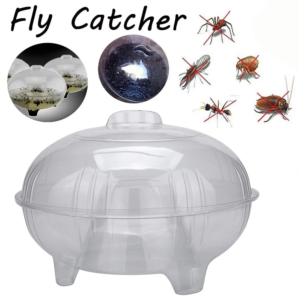 Fly-Catching-Cage-Non-Toxic-Fly-Killing-Cage-Clear-Winged-Insect-Trap ...