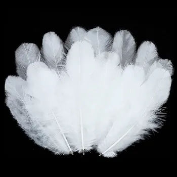 800/100Pcs Colorful Feathers 3-5-inch Craft Feathers Wedding Family ...
