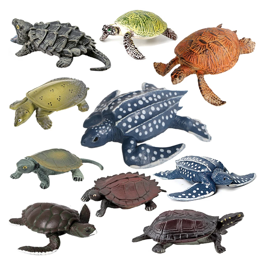 Marine-Animals-Turtle-Toy-Terrapin-Tortoise-Figures-Sea-Life-Action ...