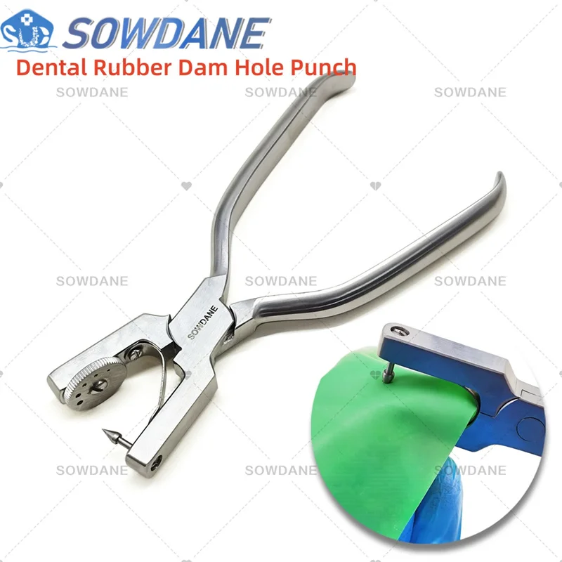 Stainless Steel High Quality Dental Rubber Dam Hole Punch Forcep ...