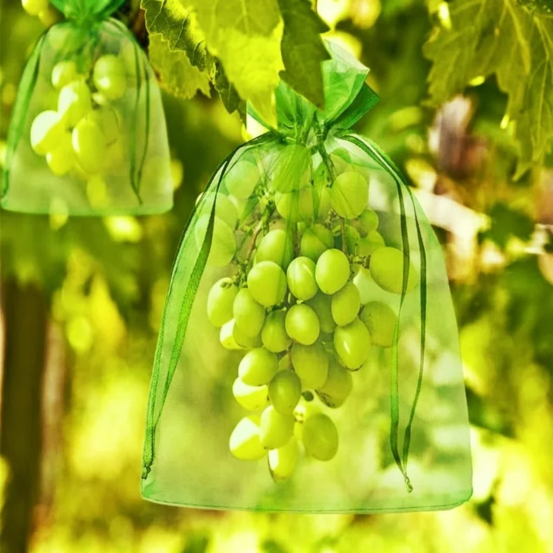 25pcs-Garden-Insect-proof-And-Bird-proof-Bagging-Fruit-Protection-Bag ...