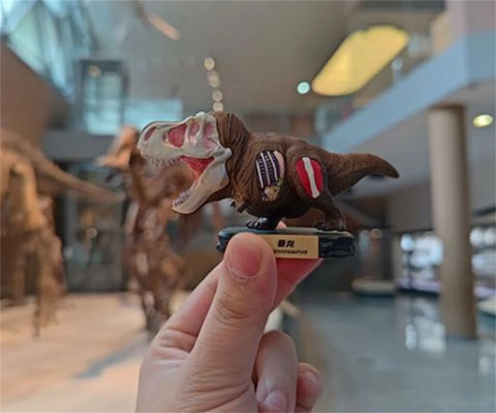 T Rex Planet Gift Shop