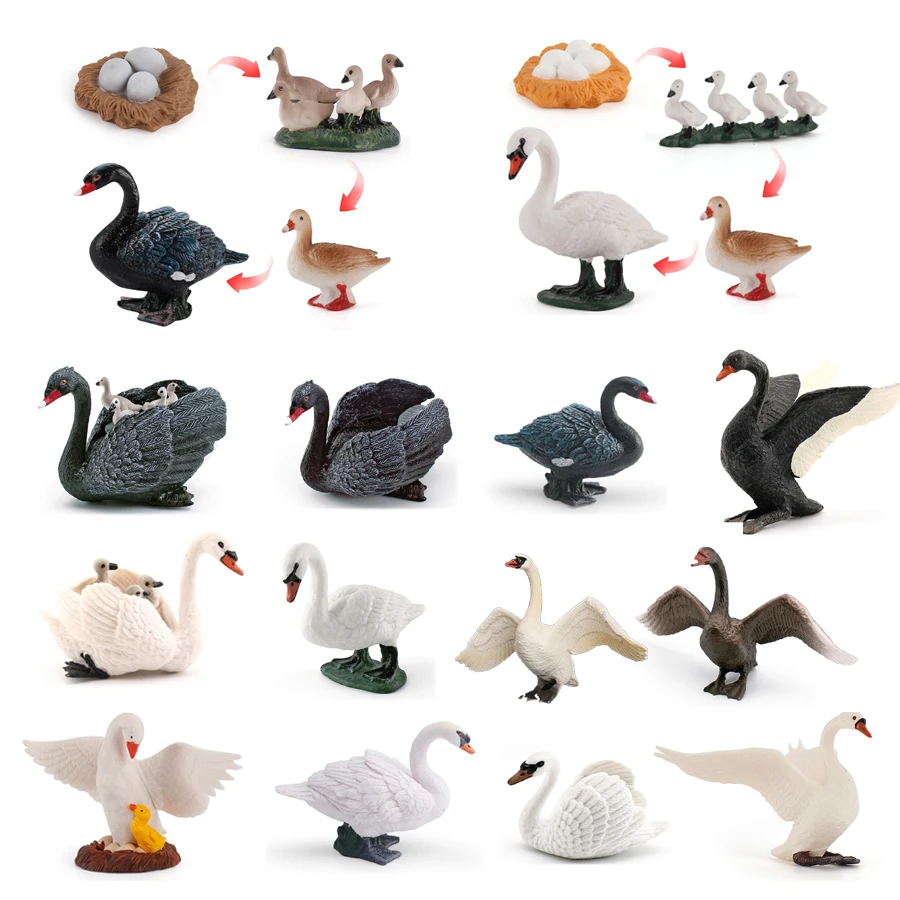 Realistic Farm Animals White Swan Mute Swan Life Cycle Of Swan Toys ...