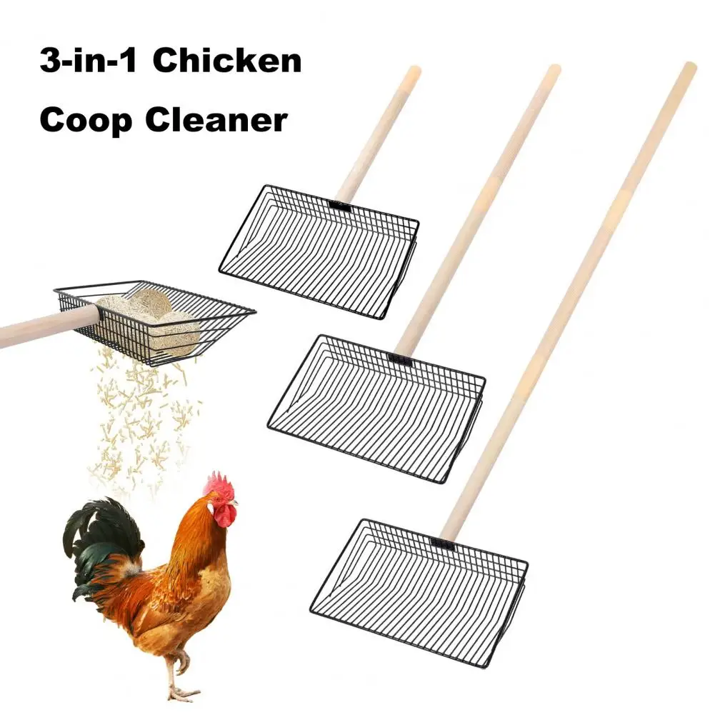 3-in-1 Large Chicken Poop Scooper Stainless Steel Chicken Cleaning ...