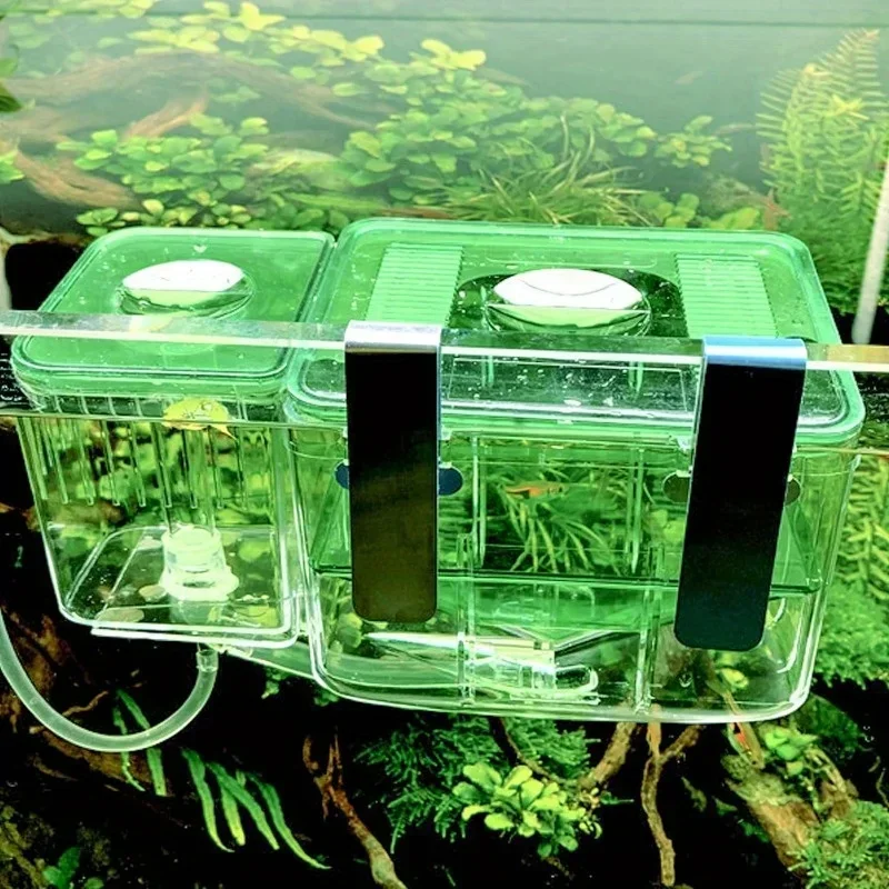 Automatic-Circulating-Fish-Breeding-Isolation-Box-Nursery-for-Aquarium ...