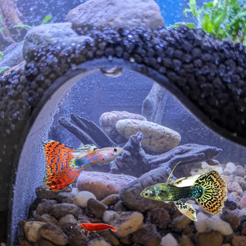 Aquarium-cave-Fish-tank-underground-hiding-cave-For-Aquatic-Pets-To ...