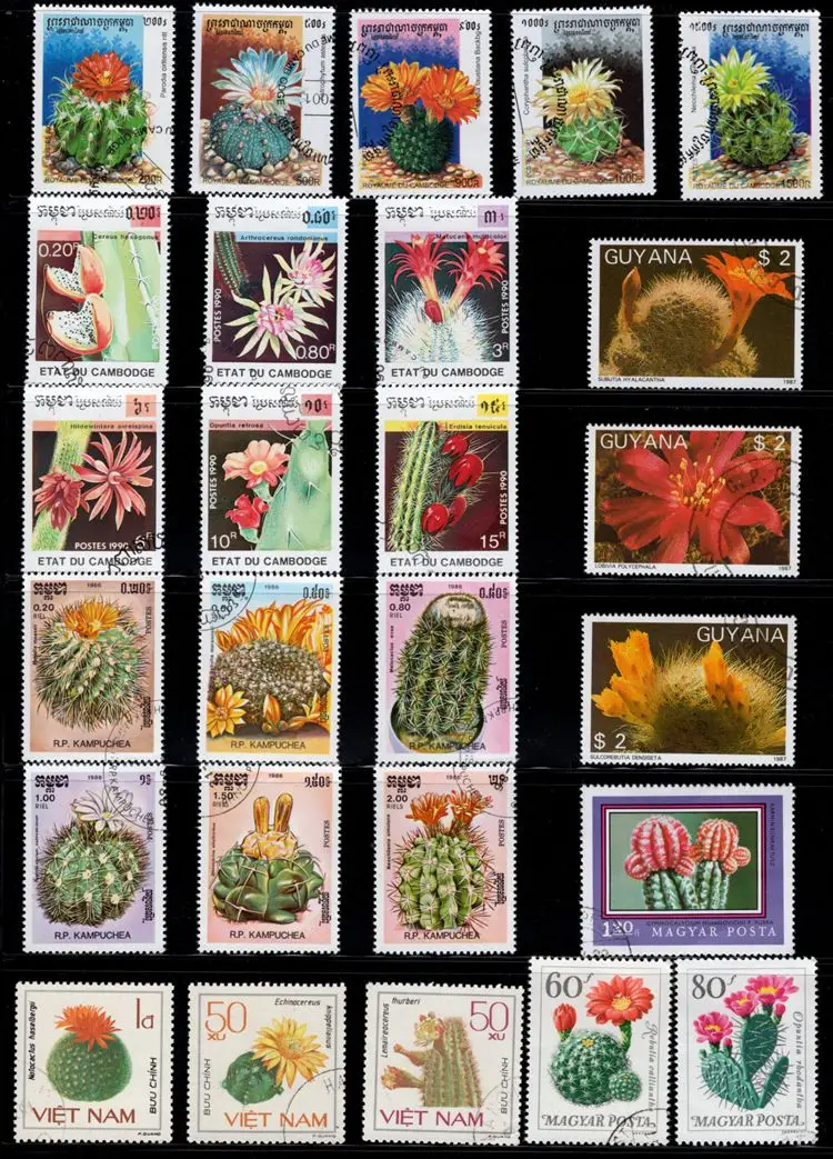 Lot-50pcs-cactus-Botany-Topic-Original-Stamps-with-Postage-Mark-No ...