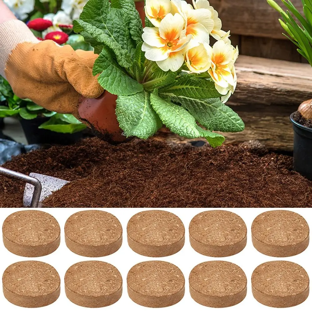 10pcs-Coco-Coir-Pellets-Organic-Potting-Soil-for-Planting-Compressed ...