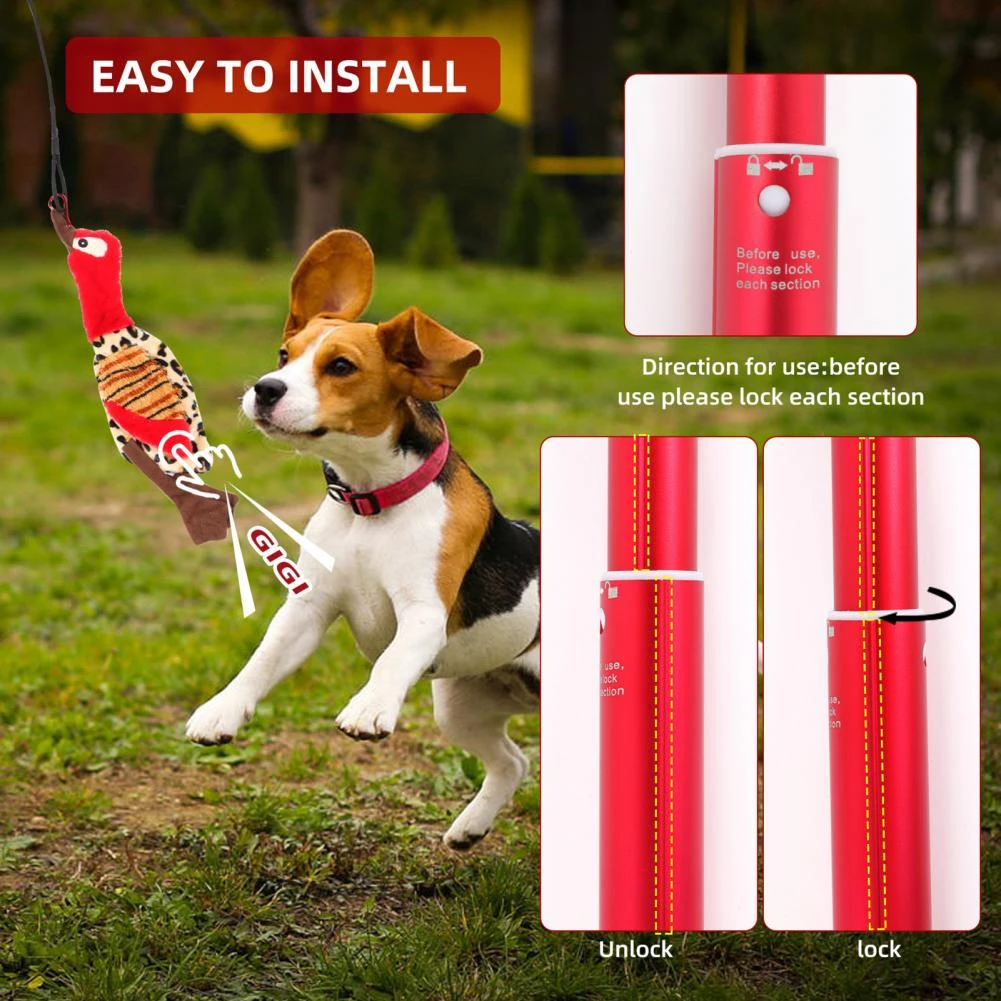 Why Do Dogs Like Chasing Sticks