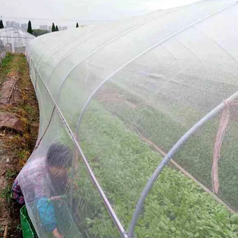 Insect-Net-Thick-Insect-Proof-Netting-for-Horticultural-Green-houses ...